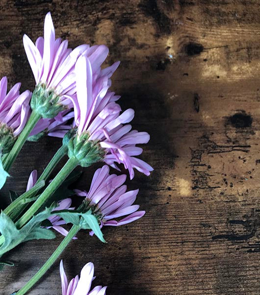 Purple Flower Collection | Regal Arrangements in Shades of Purple by ...