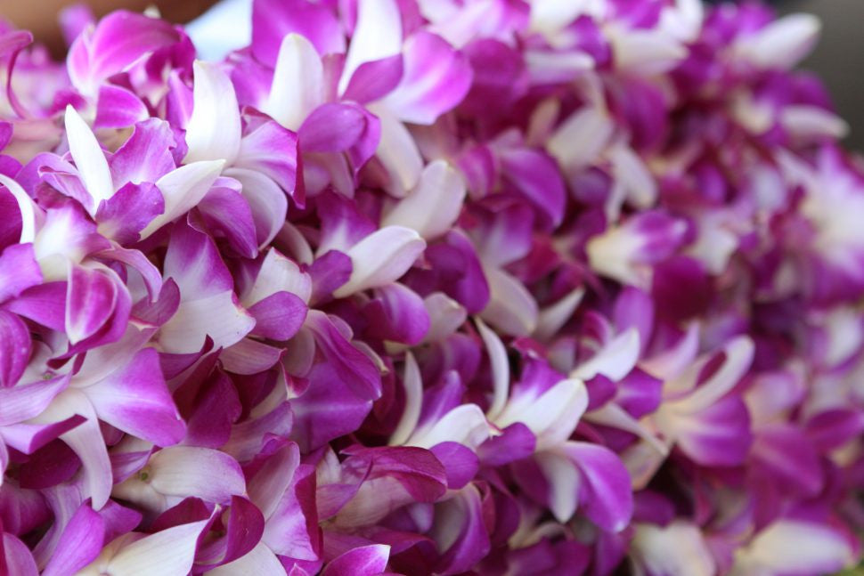 Graduation Leis | Fresh Flower Leis for Graduation by Lia’s Flowers ...